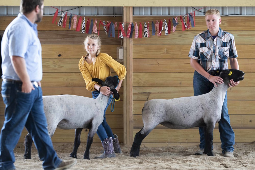 Cleveland kids put their animals, themselves on display at county fair ...